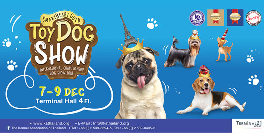SMARTHEART GOLD Toy Dog Show International championship 2018 - Terminal ...