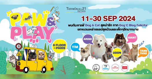Paw & Play - Terminal 21 Pattaya